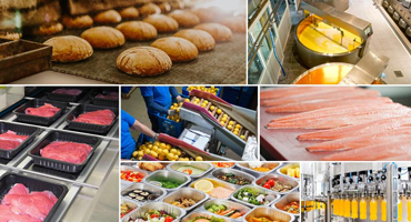 IID Online Learning | Best Industrial & Professional Courses