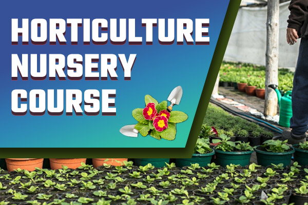 Horticulture Nursery Course With Expert Guidance