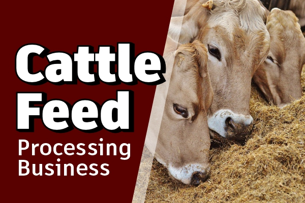 Start Cattle Feed Processing Business | Government Certification