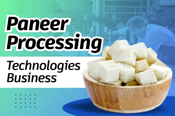Paneer Manufacturing Process Business With MSME Certification