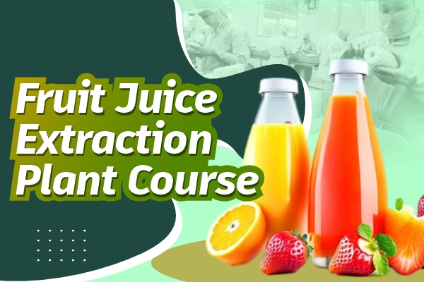 Best Fruit Juice Extraction Process | MSME Certification