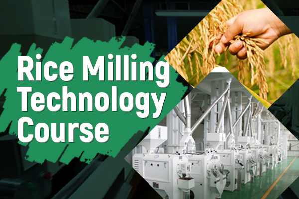 Best Rice Milling Technology Course With Government Certification