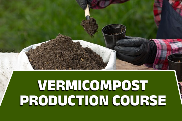Vermicompost Production Process With Government Certification